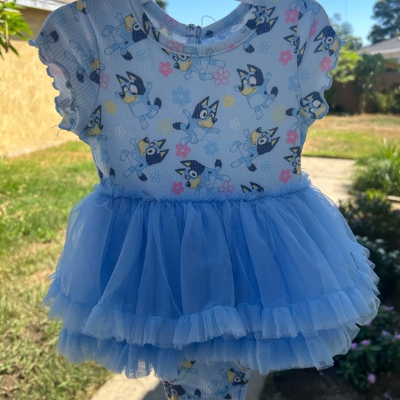 Bluey | Dresses | Bluey Cartoon Character Dress With Tulle Skirt | Poshmark